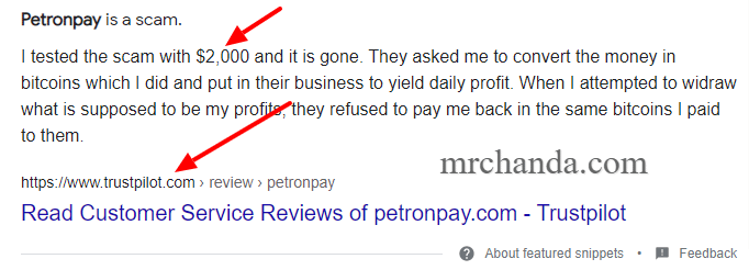 PetronPay Review - Is PetronPay an MLM or Pyramid or Ponzi Scheme?